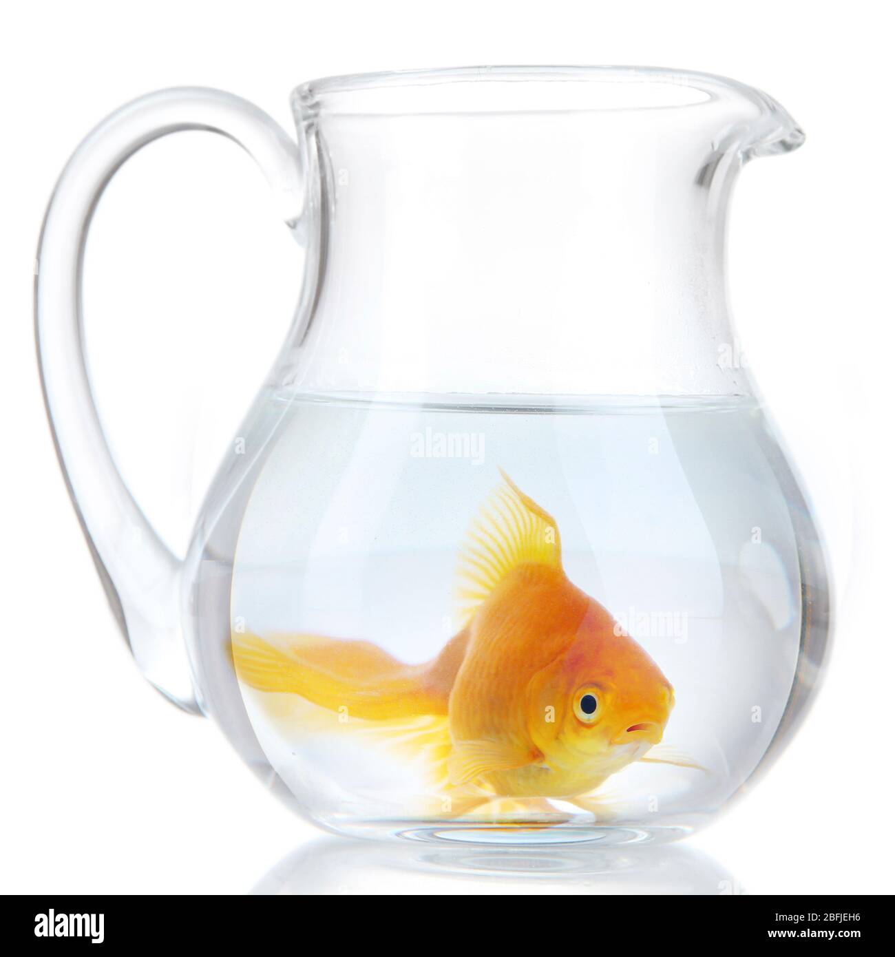 Goldfish water splash on white background Cut Out Stock Images ...