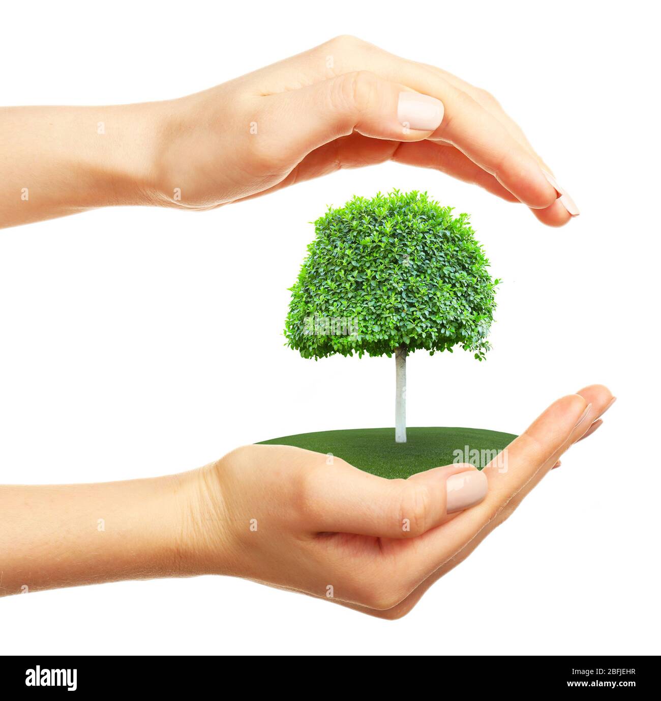 Female hands holding nail Cut Out Stock Images & Pictures - Alamy