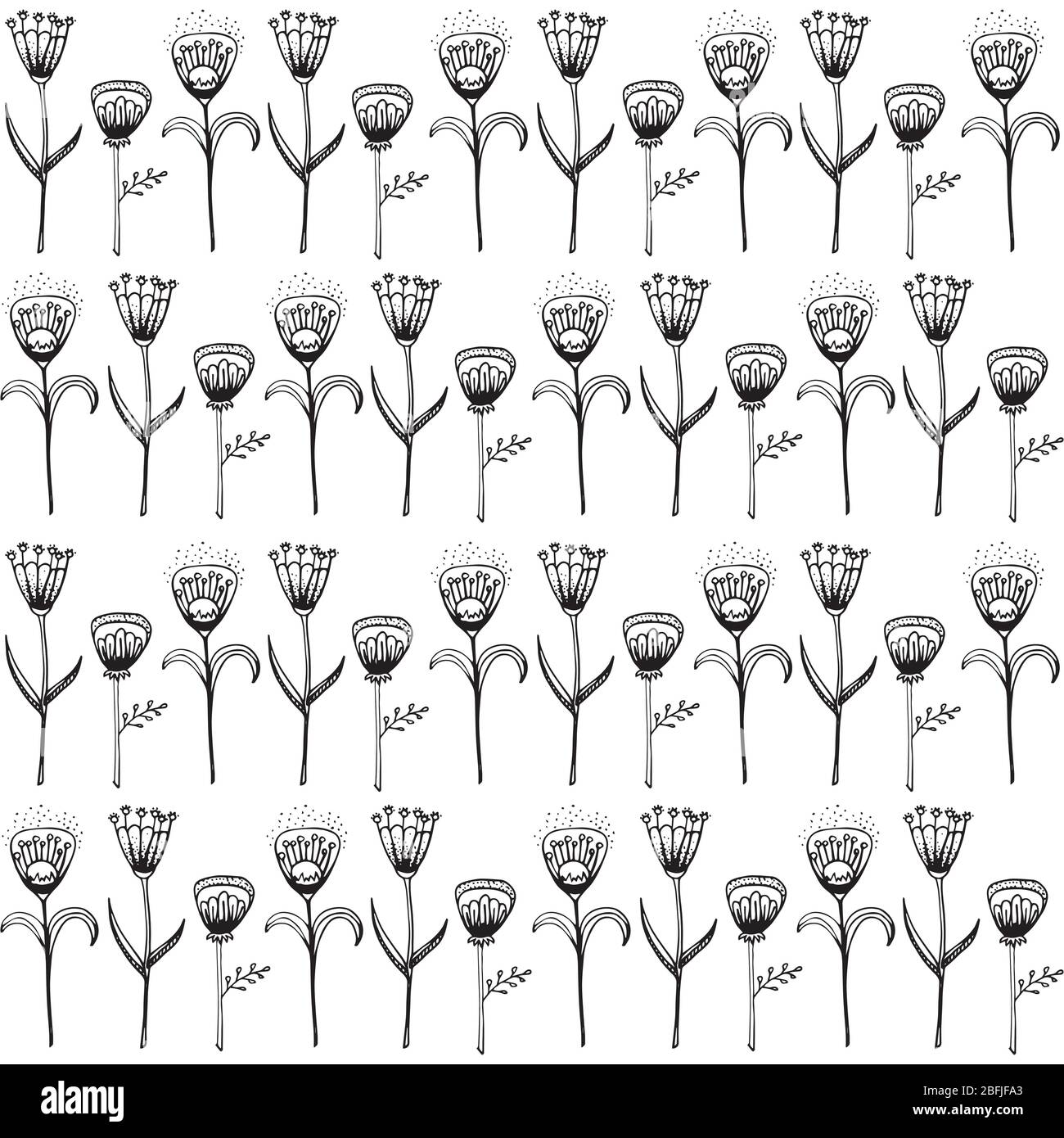 Delicate twigs Black and White Stock Photos & Images - Alamy