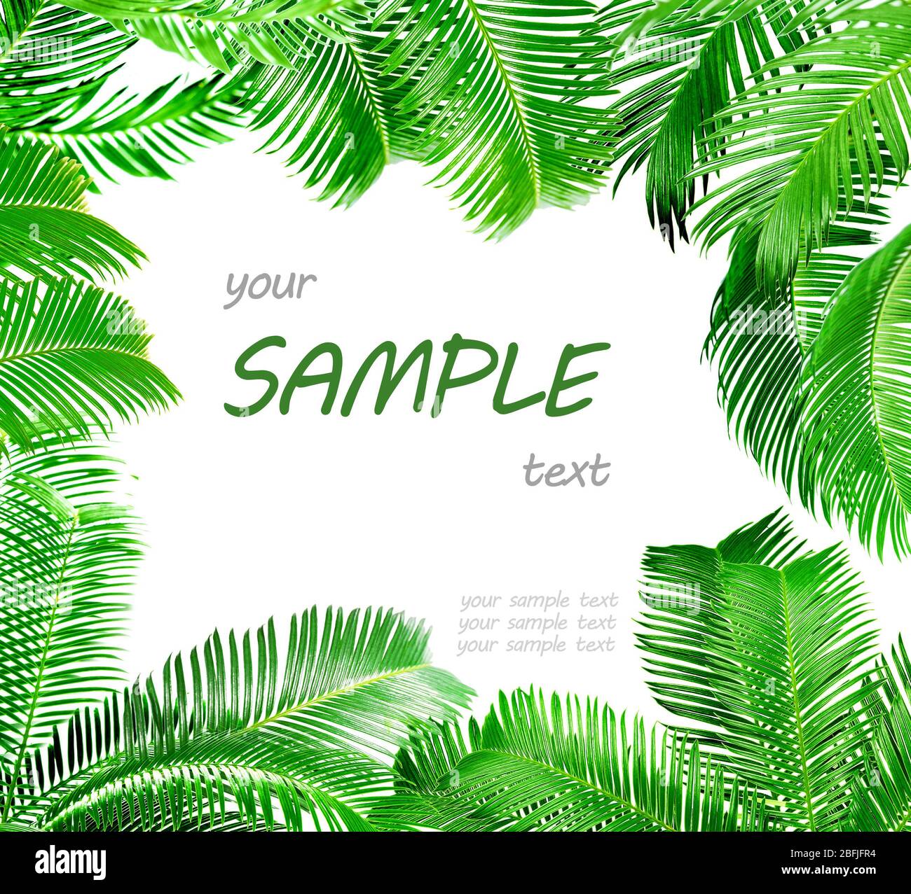 Frame of green palm leaves isolated on white Stock Photo - Alamy