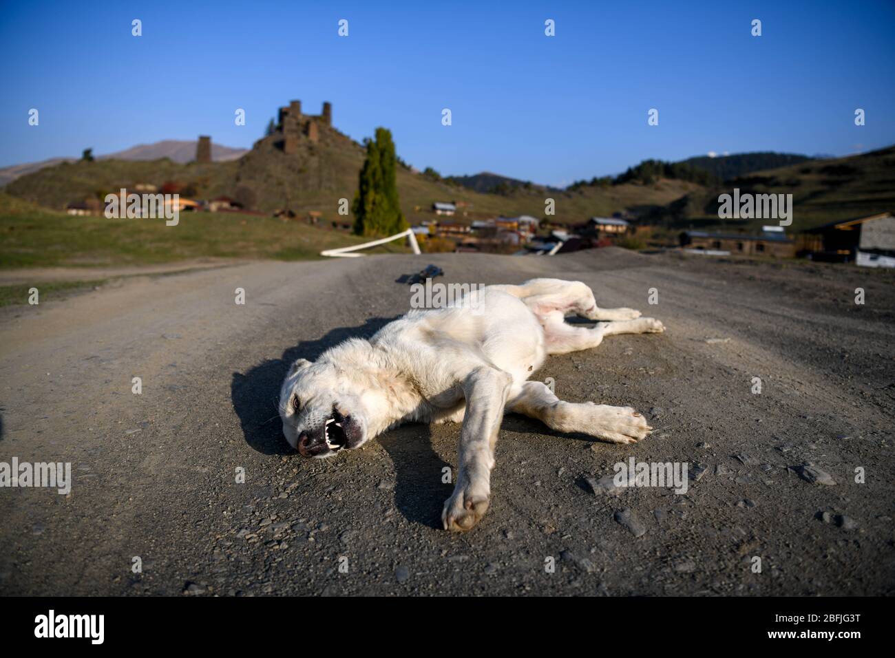 Caucasus, Georgia, Tusheti region, Omalo. The old fort at the entrance ...
