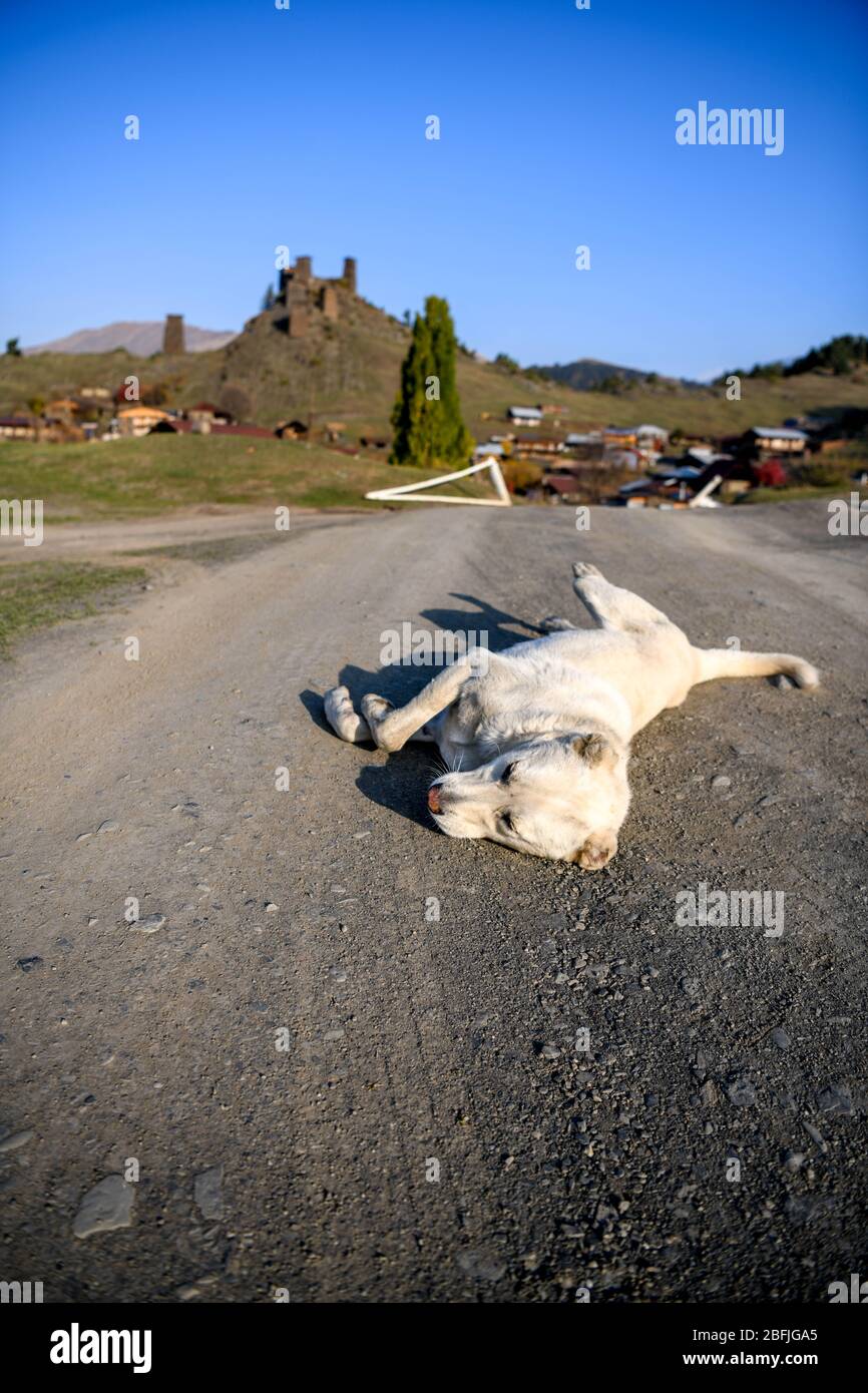 Medieval georgia map hi-res stock photography and images - Alamy