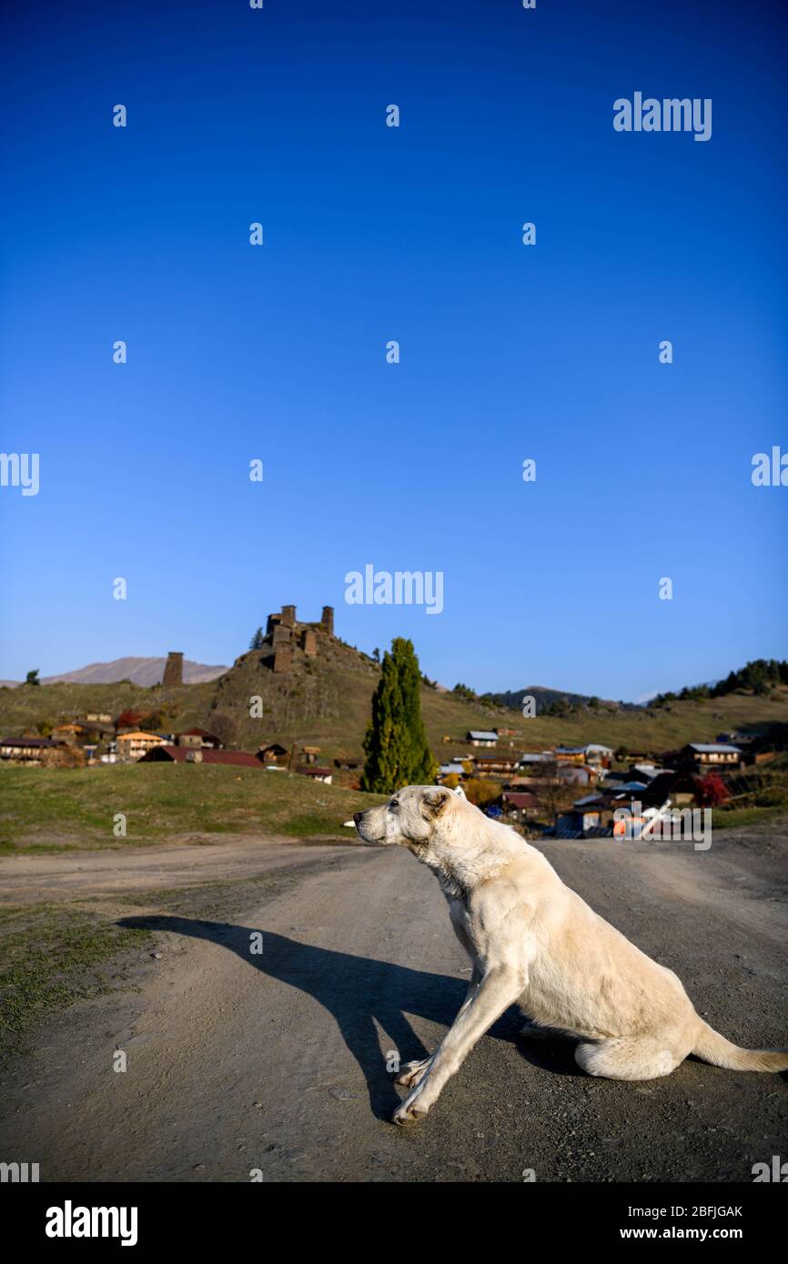 Medieval georgia map hi-res stock photography and images - Alamy