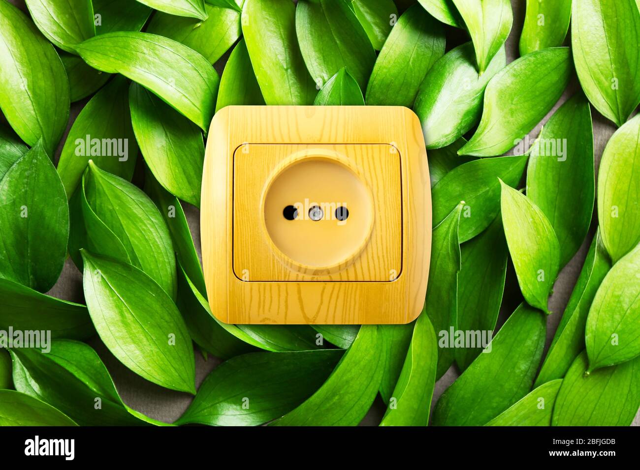 Garden plug socket hi-res stock photography and images - Alamy
