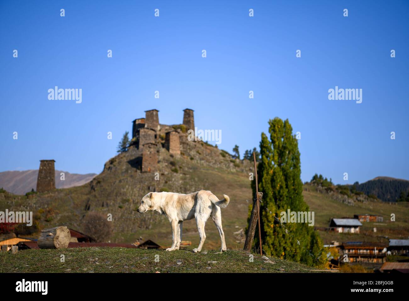 Medieval georgia map hi-res stock photography and images - Alamy