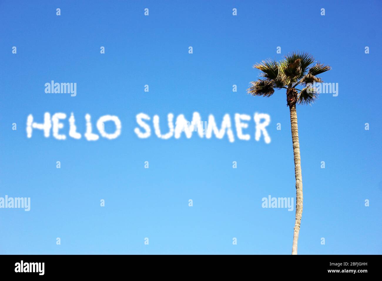 Hello summer blue palm hi-res stock photography and images - Alamy