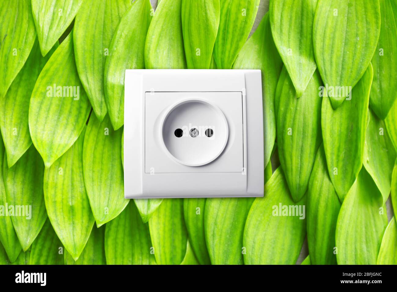 Garden plug socket hi-res stock photography and images - Alamy