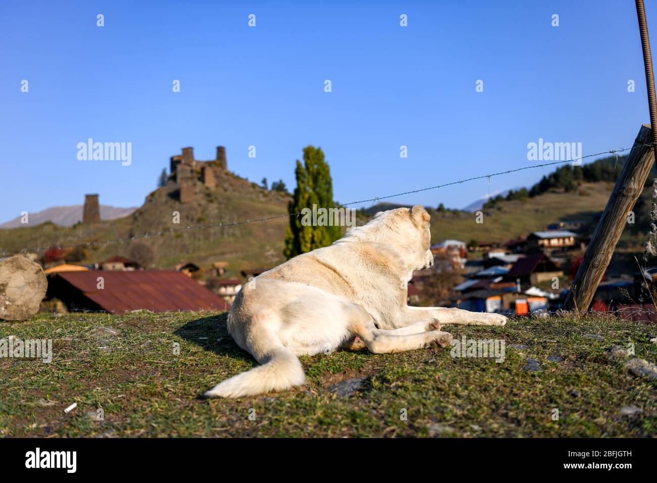 Caucasus, Georgia, Tusheti region, Omalo. The old fort at the entrance ...