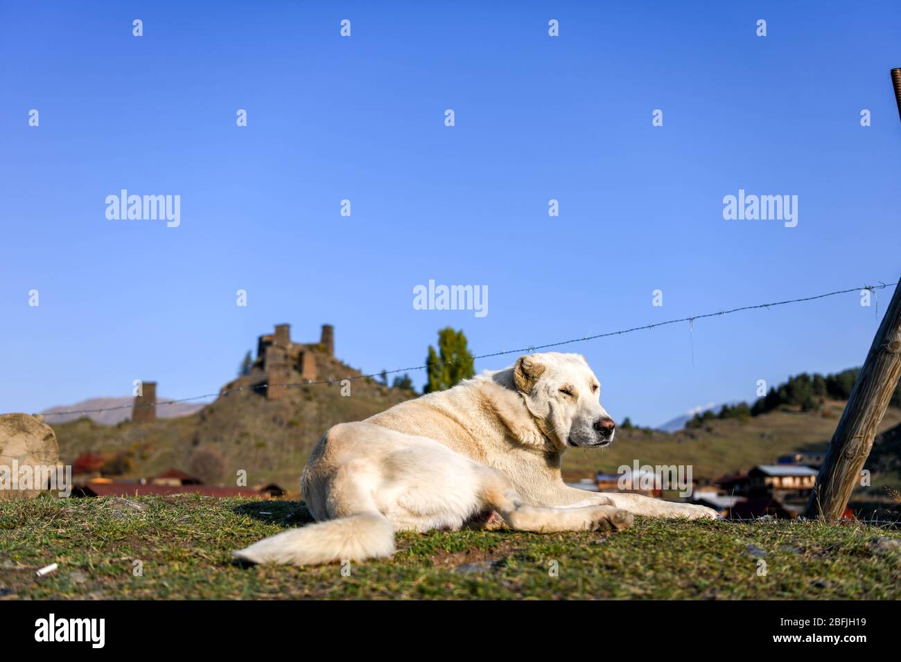 Caucasus, Georgia, Tusheti region, Omalo. The old fort at the entrance ...