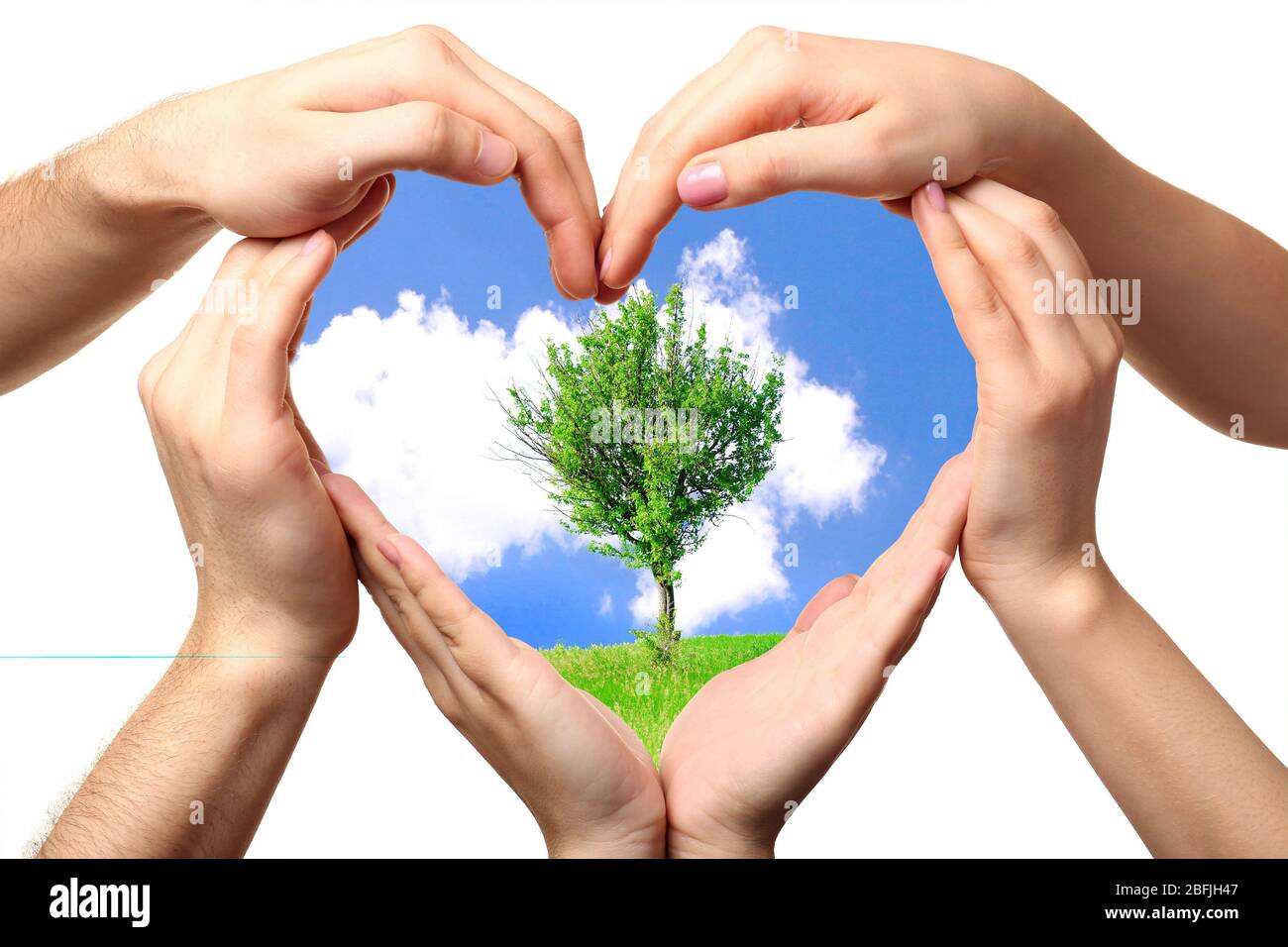 Beautiful tree in heart formed by male and female hands isolated on ...