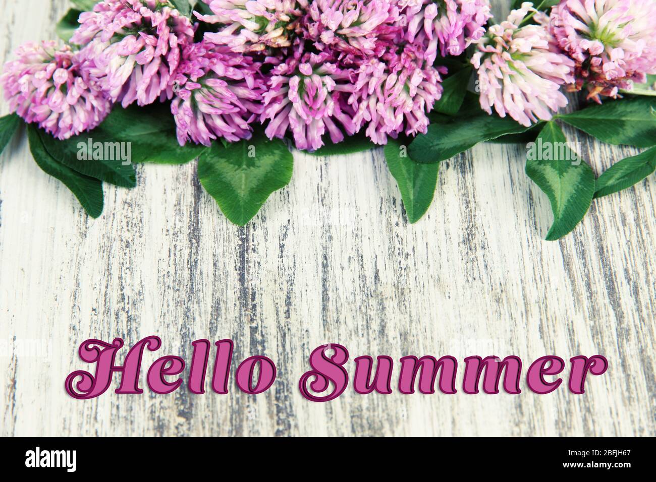 Clover flowers on wooden surface with text Hello Summer Stock Photo - Alamy