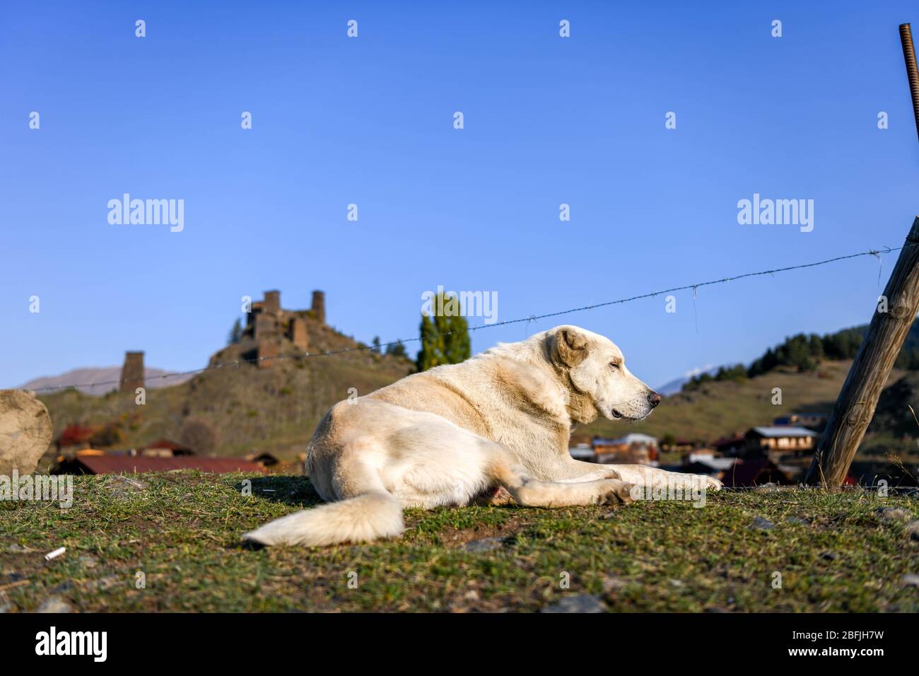 Medieval georgia map hi-res stock photography and images - Alamy