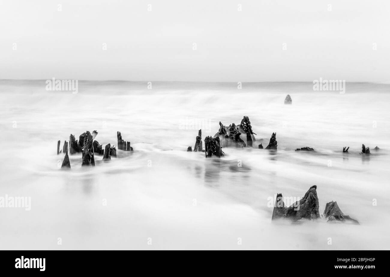 South carolina Black and White Stock Photos & Images - Alamy