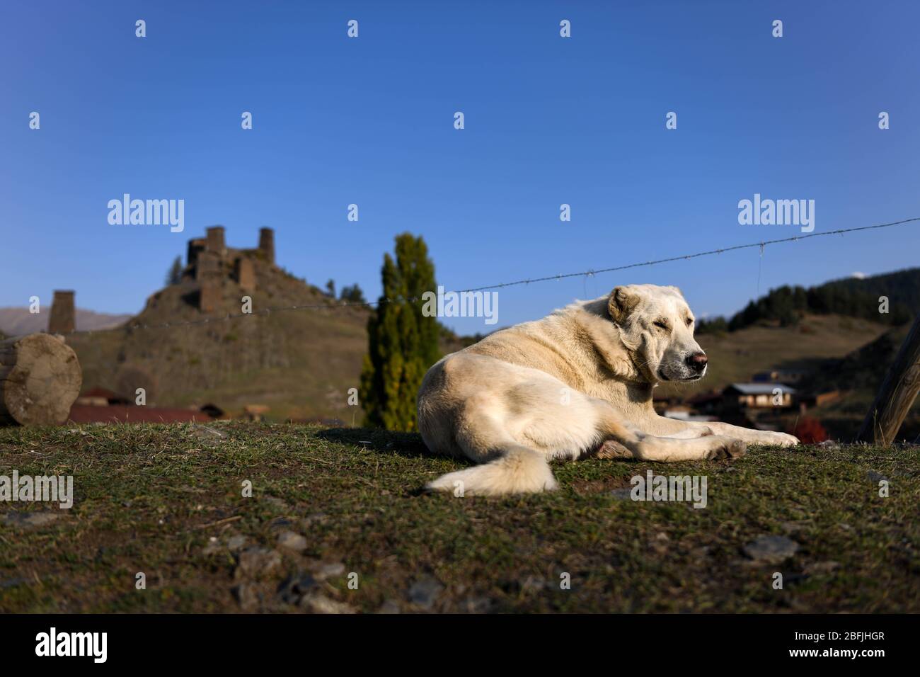 Caucasus, Georgia, Tusheti region, Omalo. The old fort at the entrance ...