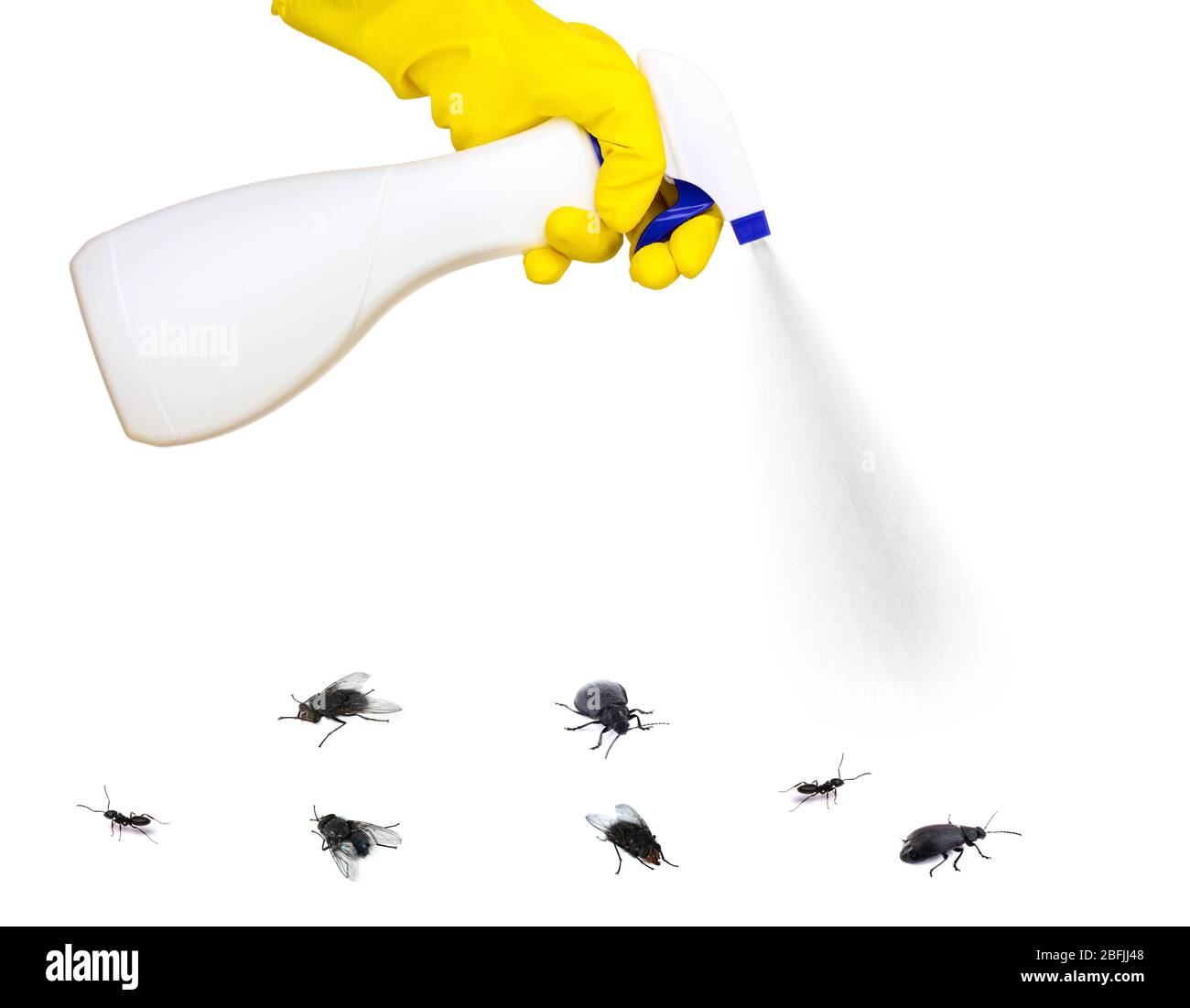 Plastic sprayer with insecticide and stinging insect isolated on white ...