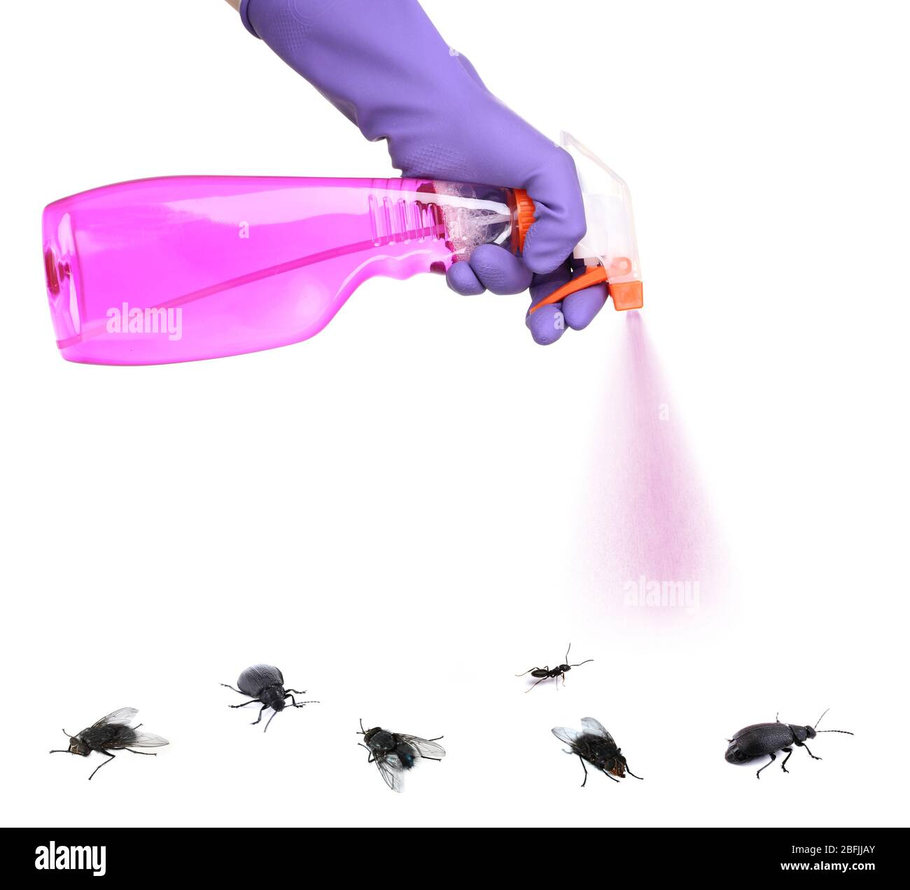 Plastic sprayer with insecticide and stinging insect isolated on white ...