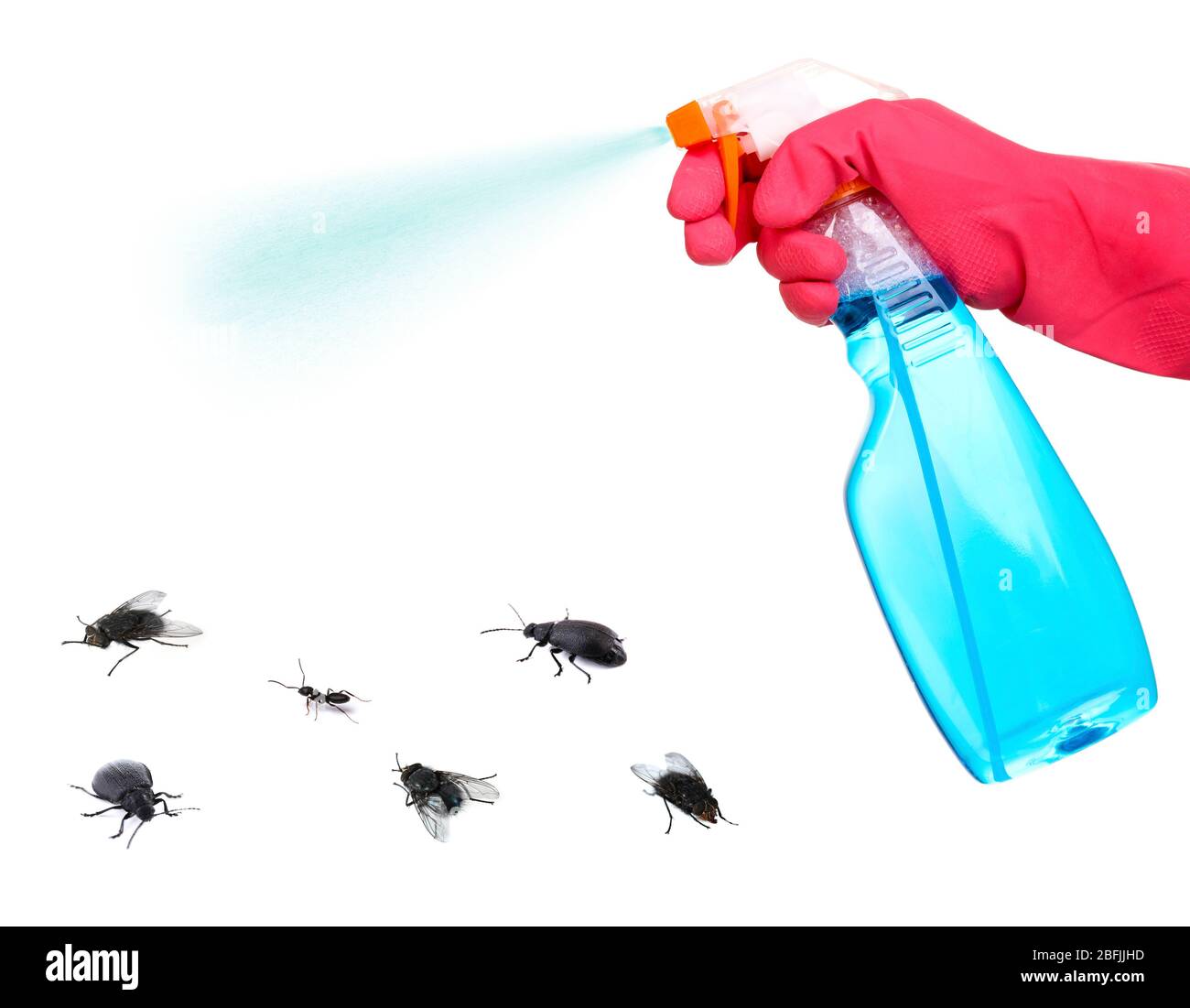 Plastic sprayer with insecticide and stinging insect isolated on white ...