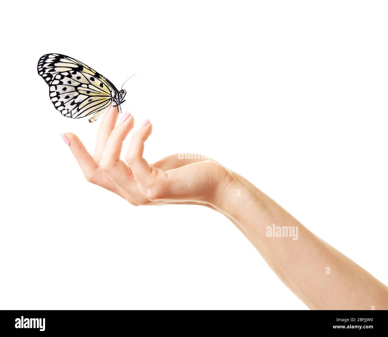 Human hand with butterfly isolated on white Stock Photo - Alamy