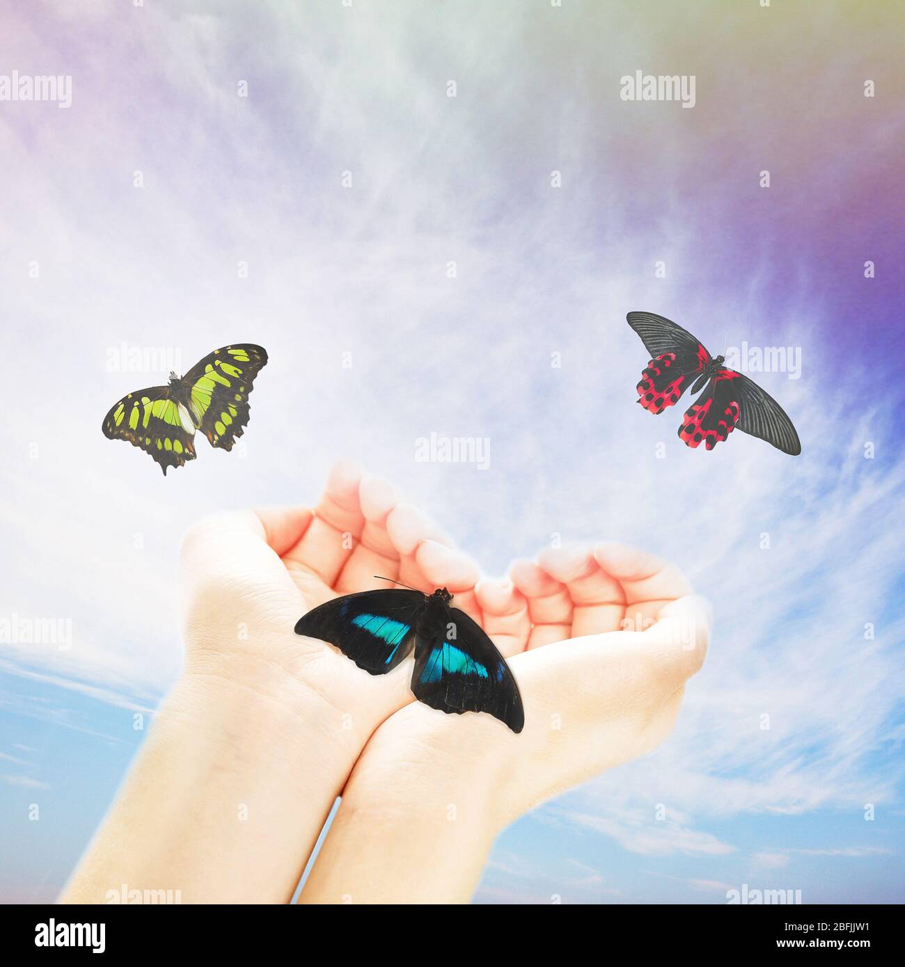 Human hands with butterfly on sky background Stock Photo - Alamy