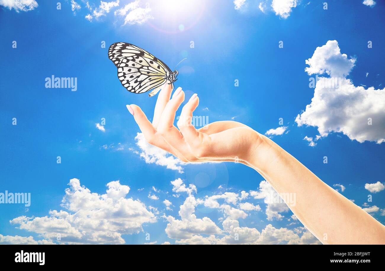 Human hand with butterfly on sky background Stock Photo - Alamy