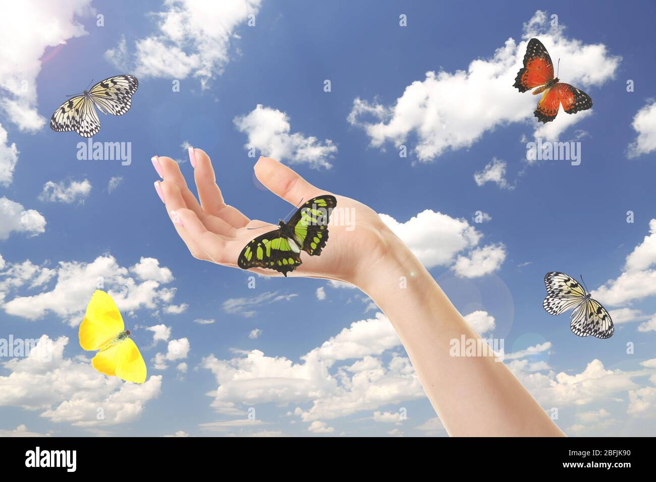 Human hands with butterfly on sky background Stock Photo - Alamy