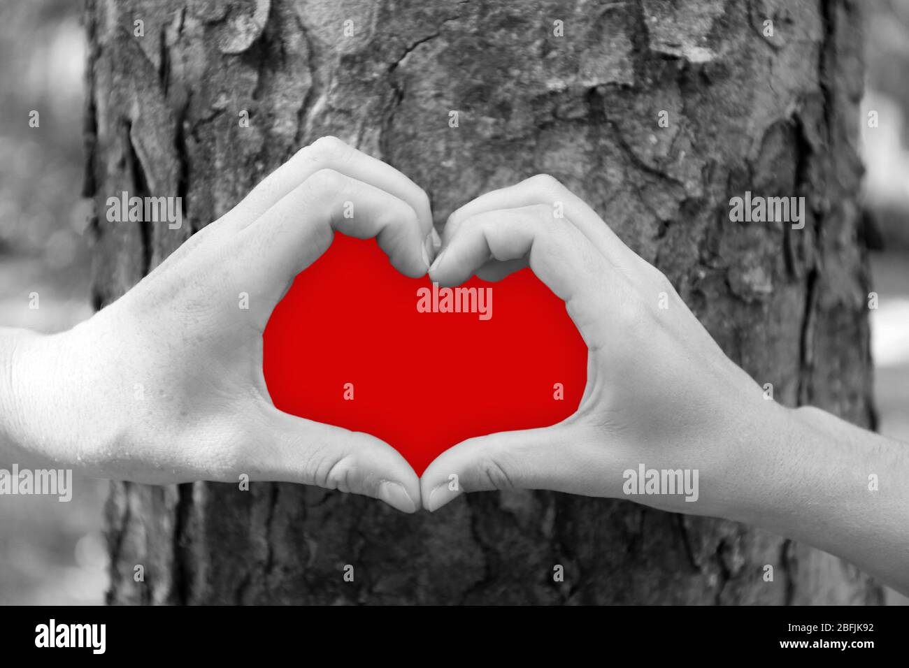 Close-up of human hands making heart shape in front of tree Stock Photo ...