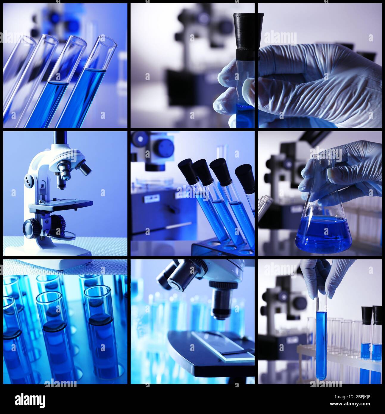 Scientific research collage hi-res stock photography and images - Alamy