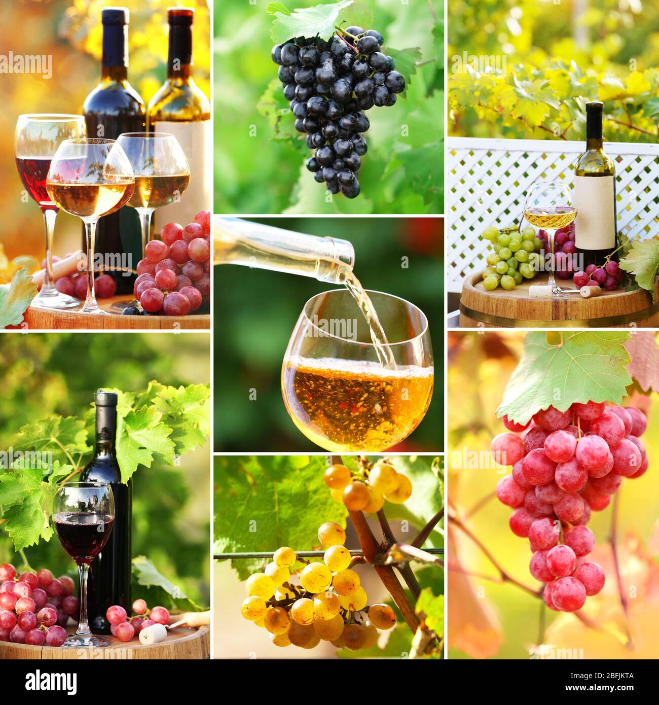 Wine and vineyard collage Stock Photo - Alamy