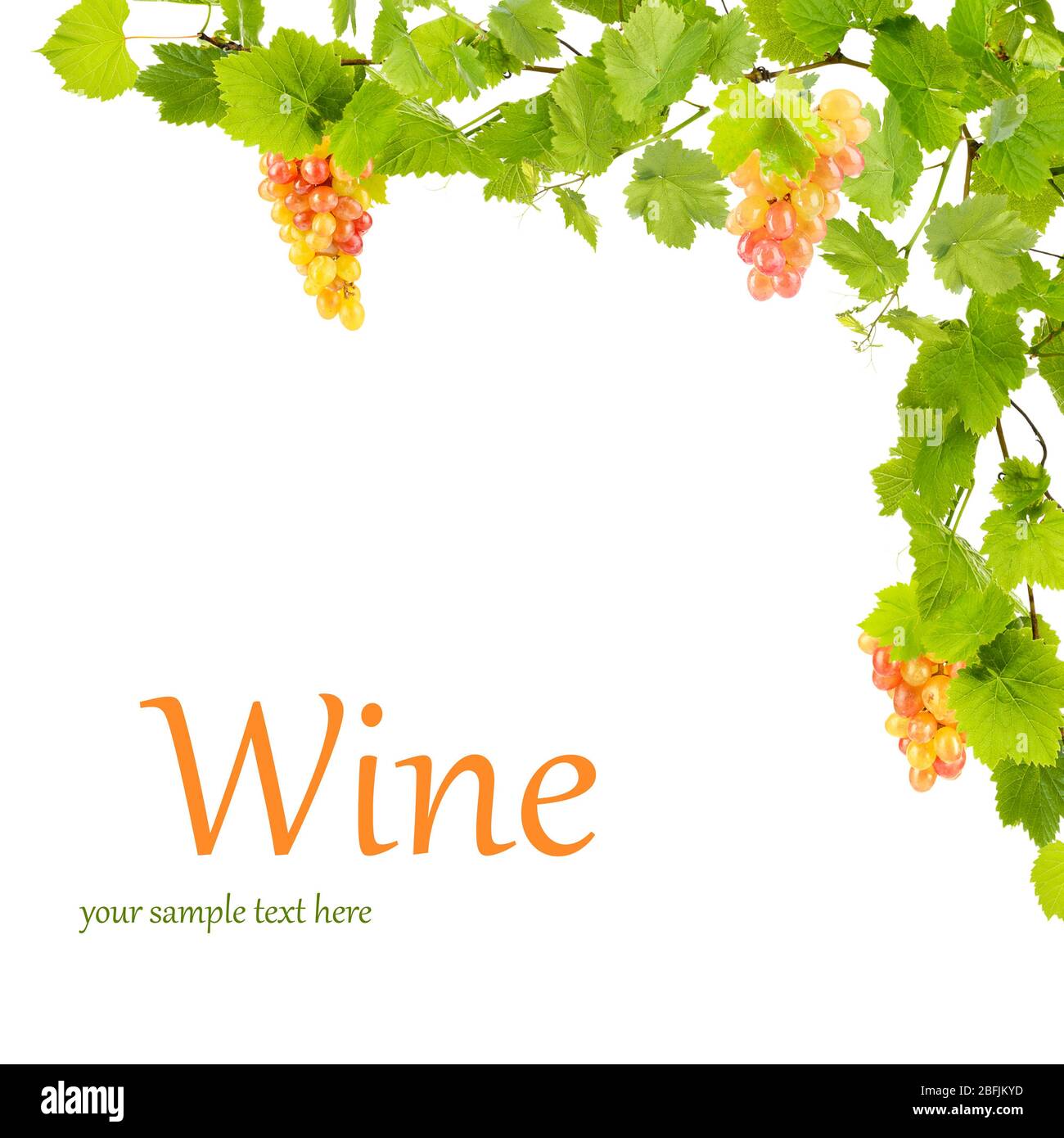 Frame of grape branches with green leaves, isolated on white Stock ...