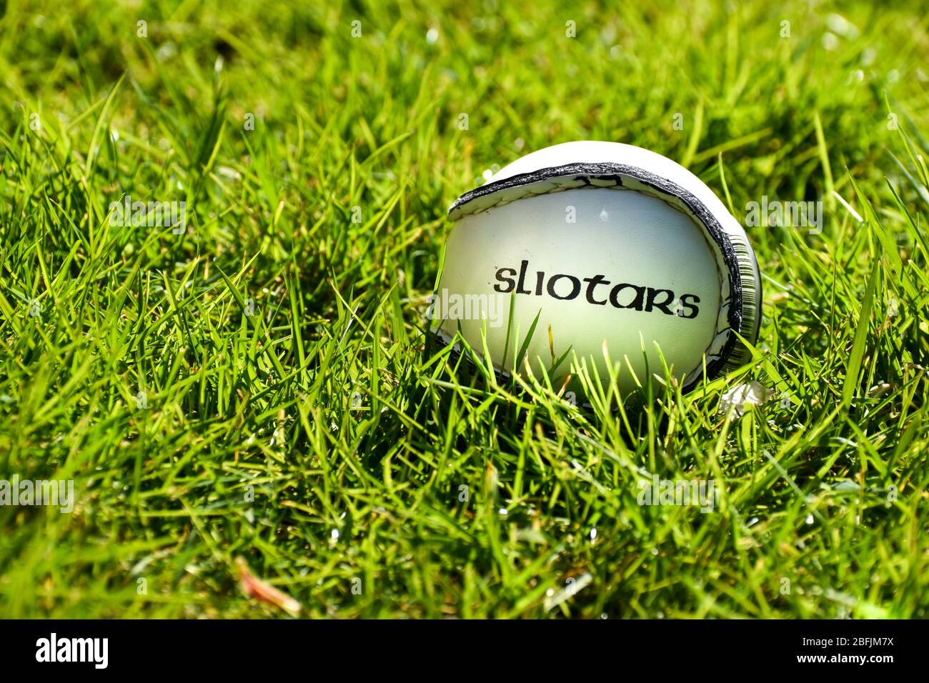 Irish Hurling or Camogie sliotar ball on a grass playing field Stock ...