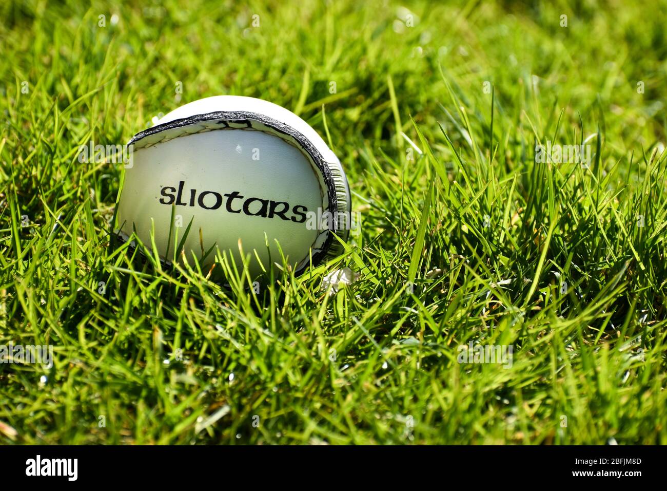 Irish Hurling or Camogie sliotar ball on a grass playing field Stock ...