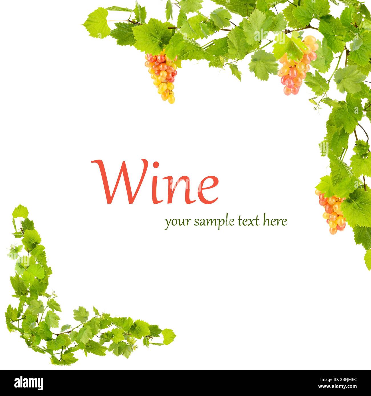 Frame of grape branches with green leaves, isolated on white Stock ...