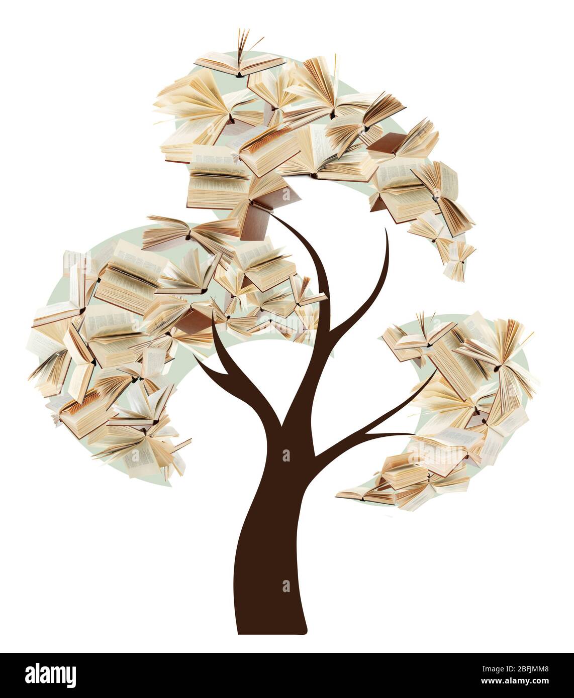 Reding book tree hi-res stock photography and images - Alamy
