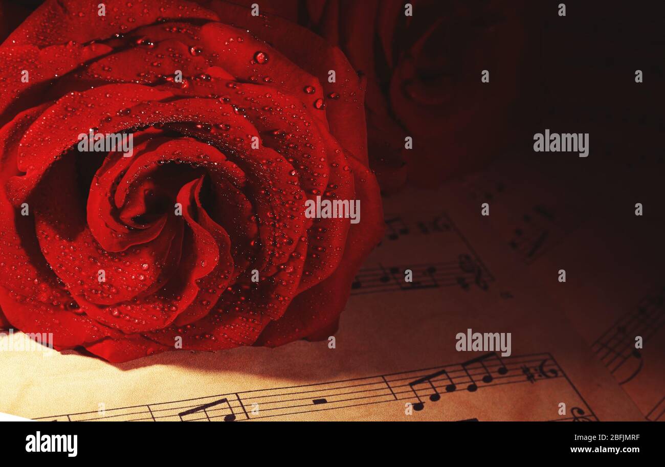 Red roses music notes hi-res stock photography and images - Alamy