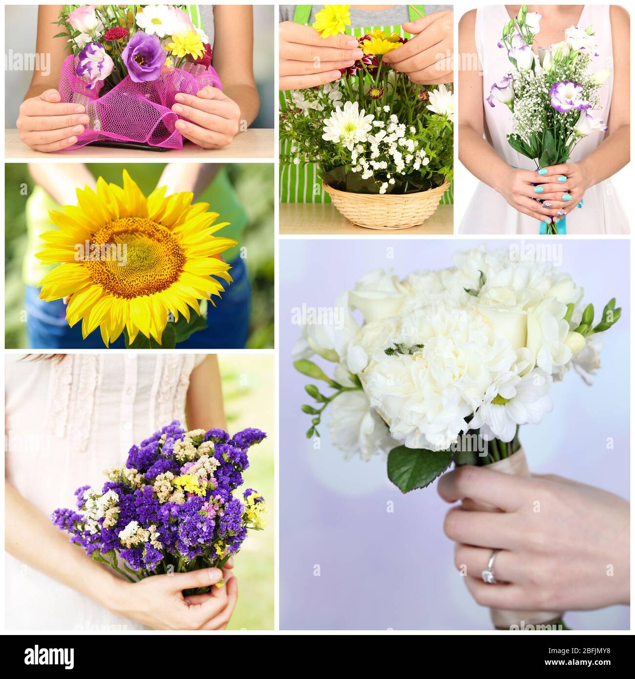 Beautiful flowers collage Stock Photo - Alamy