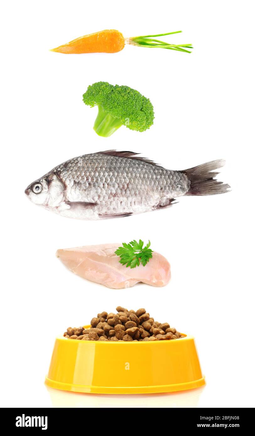 Concept of food for pets. Food falling in pet's bowl isolated on white ...