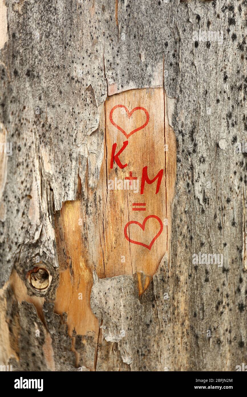 Love concept. Drawing on tree Stock Photo - Alamy