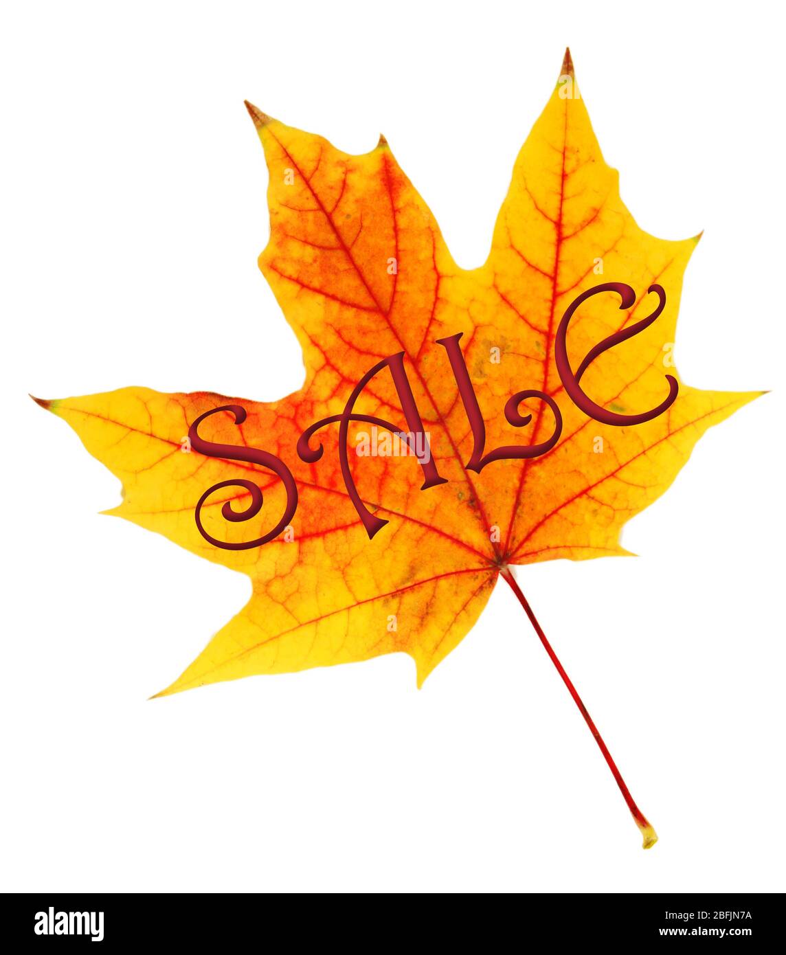Sale concept. Yellow maple leaf isolated on white Stock Photo - Alamy