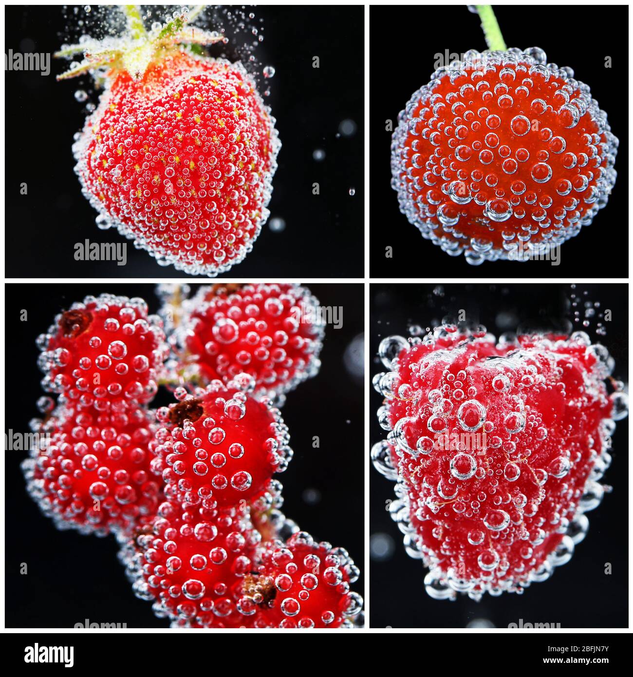 Collage of berries in water with bubbles on black background Stock ...
