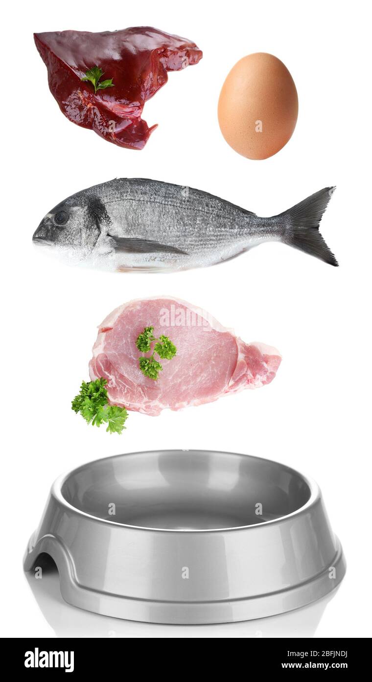 Concept food pets falling hi-res stock photography and images - Alamy