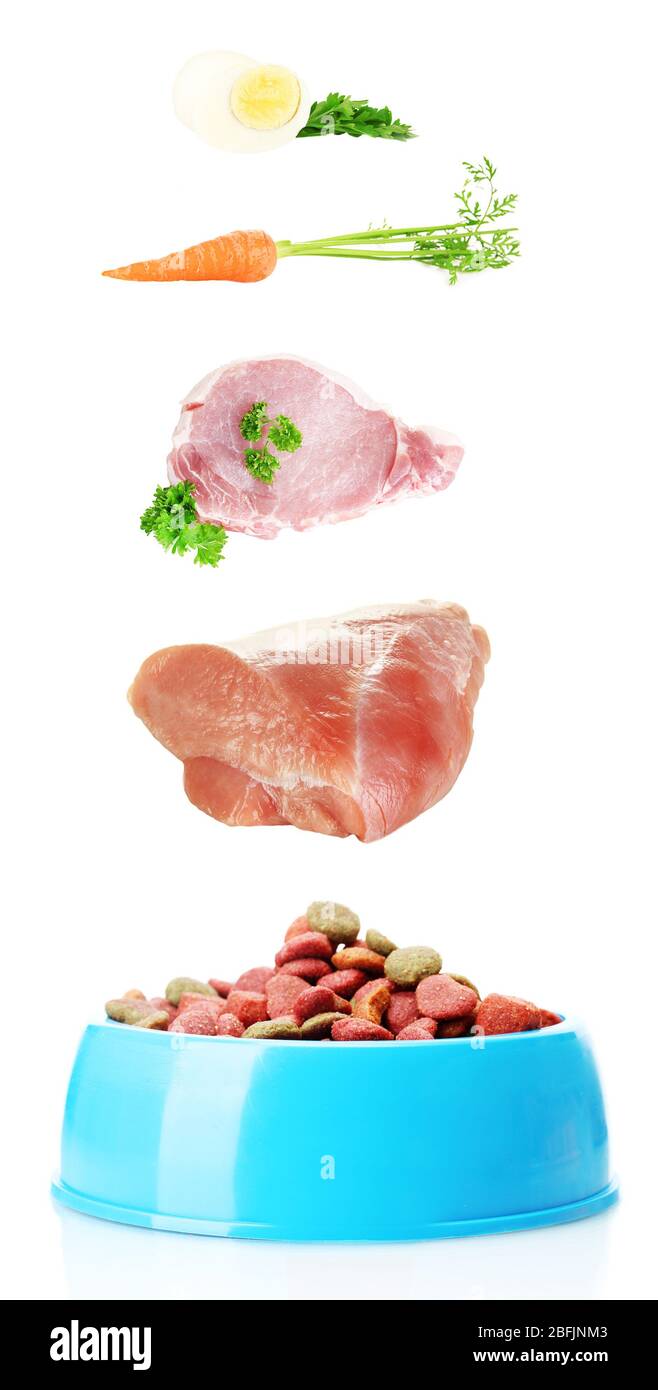 Concept of food for pets. Food falling in pet's bowl isolated on white ...