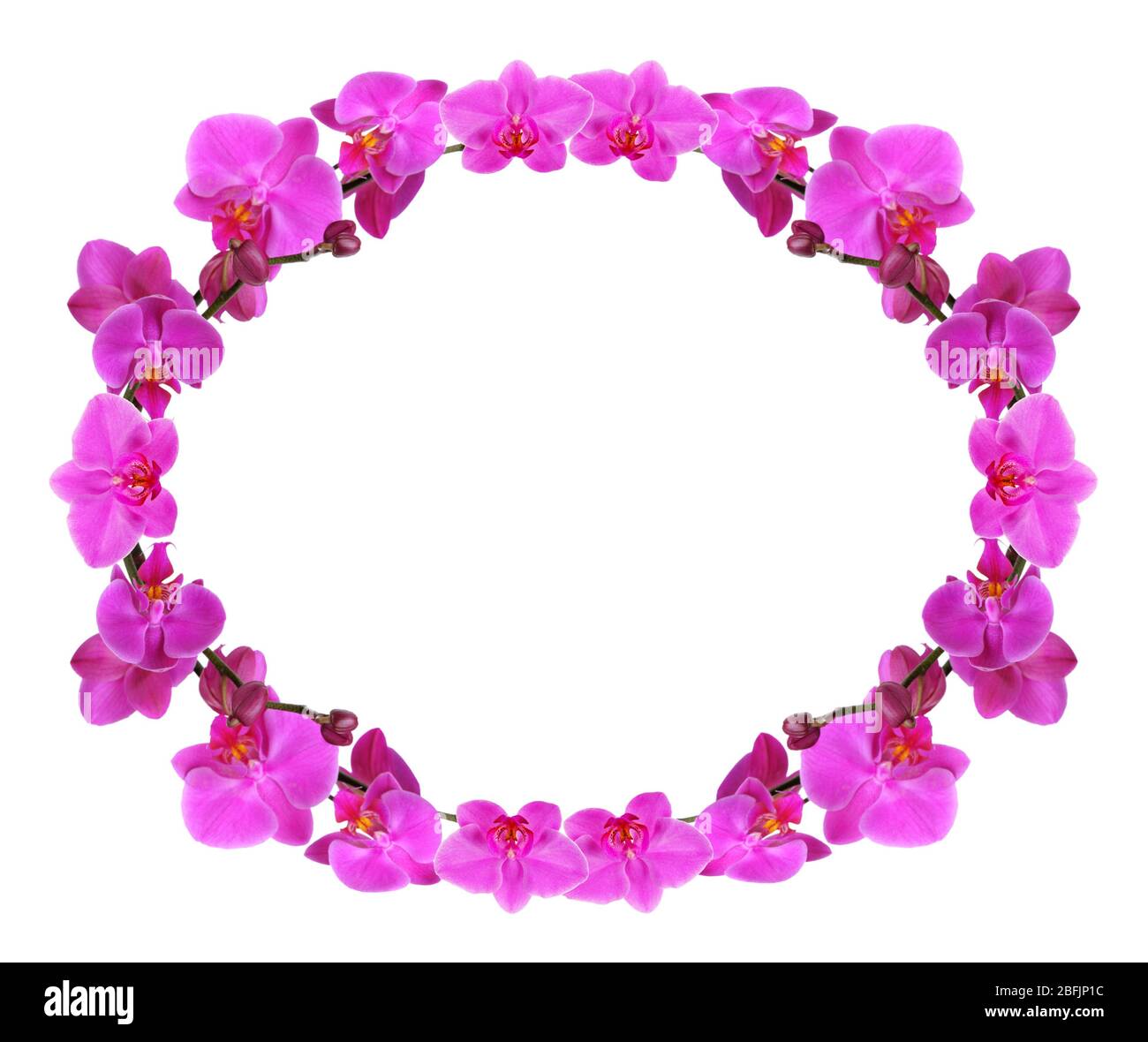 Flower frame isolated on white Stock Photo - Alamy