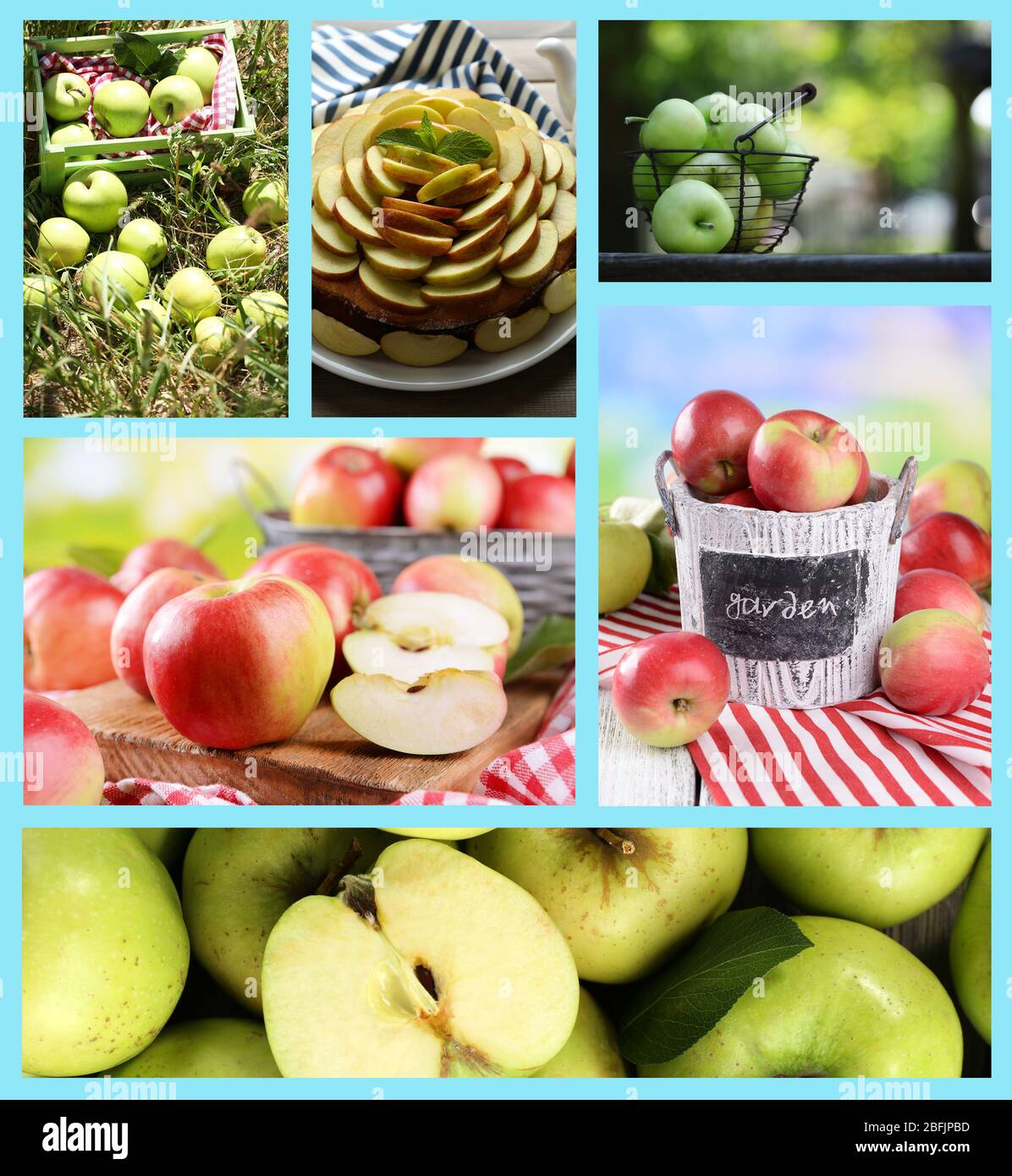 Collage of apples Stock Photo - Alamy