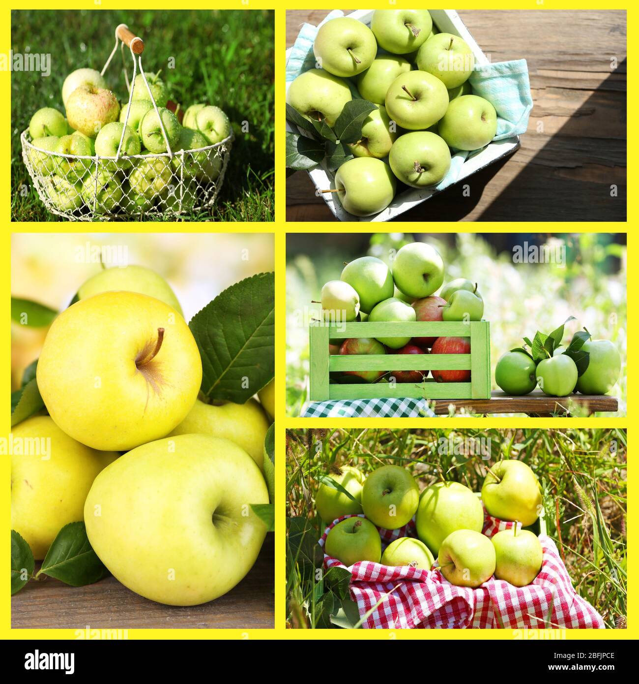 Collage of apples Stock Photo - Alamy