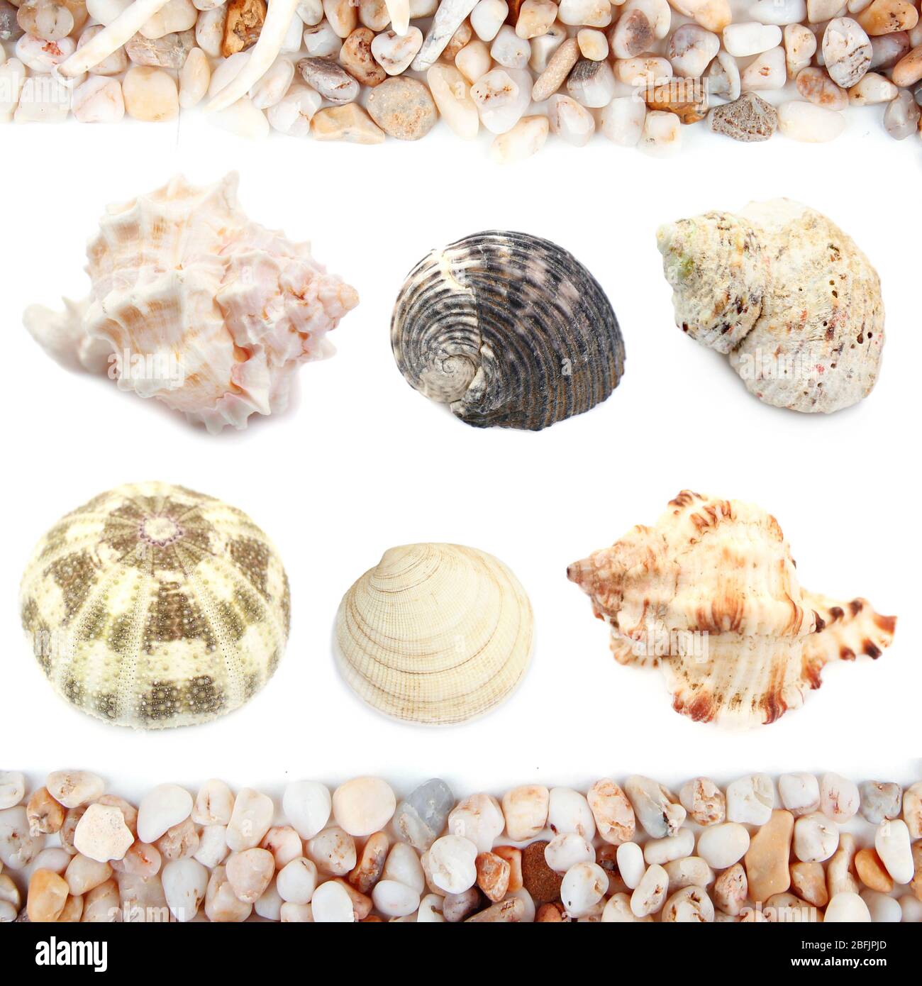 Collage of shells and other beach flotsam isolated on white Stock Photo ...