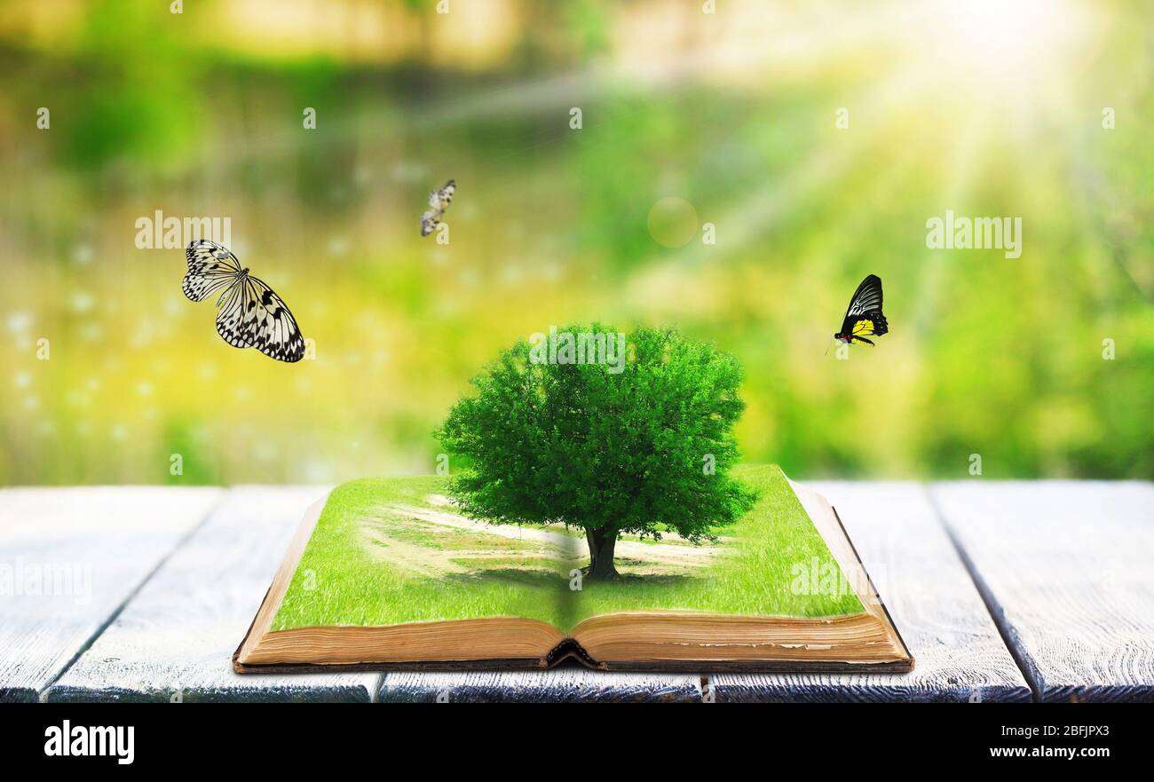 Fantasy tale book on nature background Stock Photo - Alamy