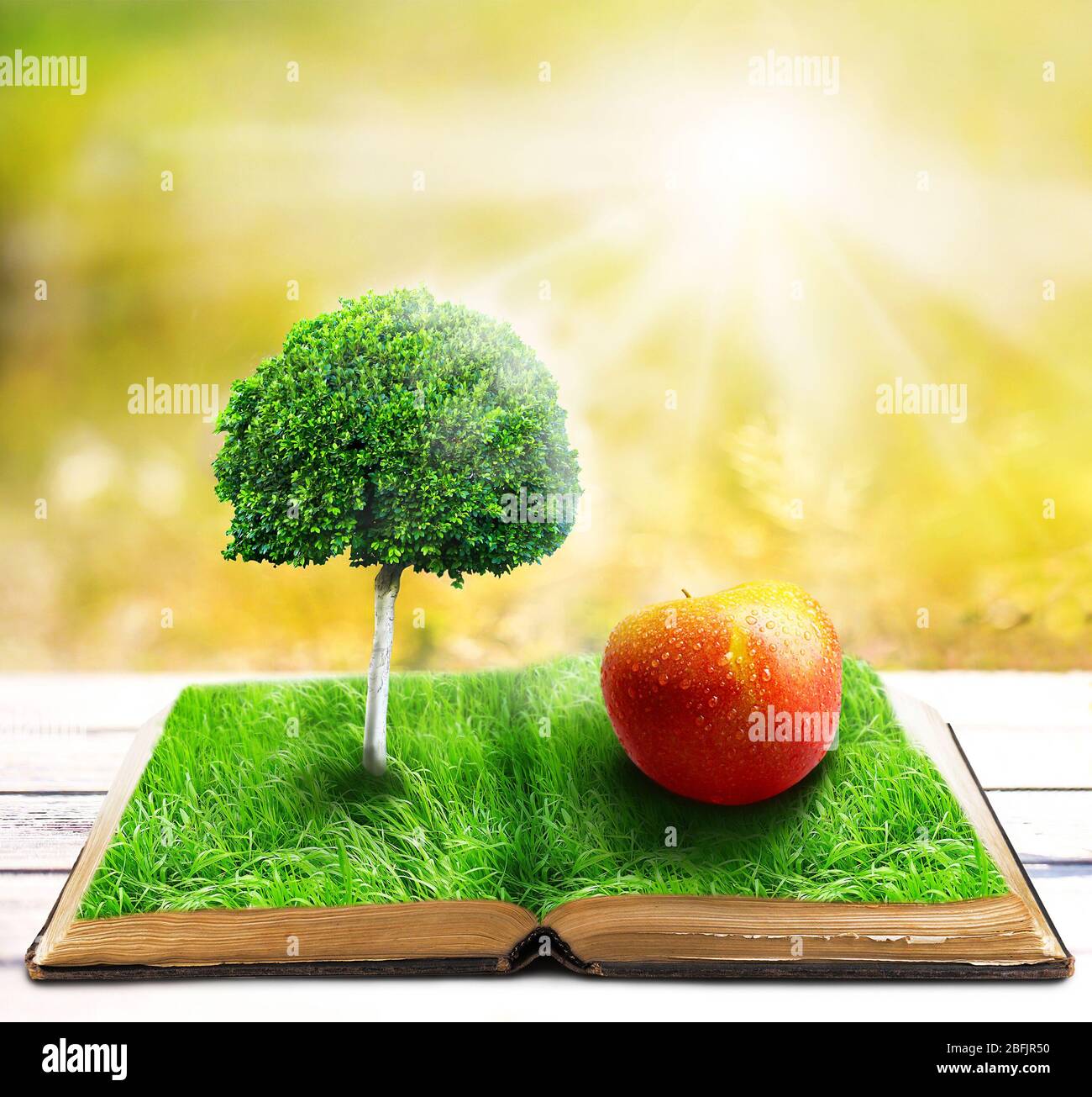 Fantasy tale book on bright background Stock Photo - Alamy