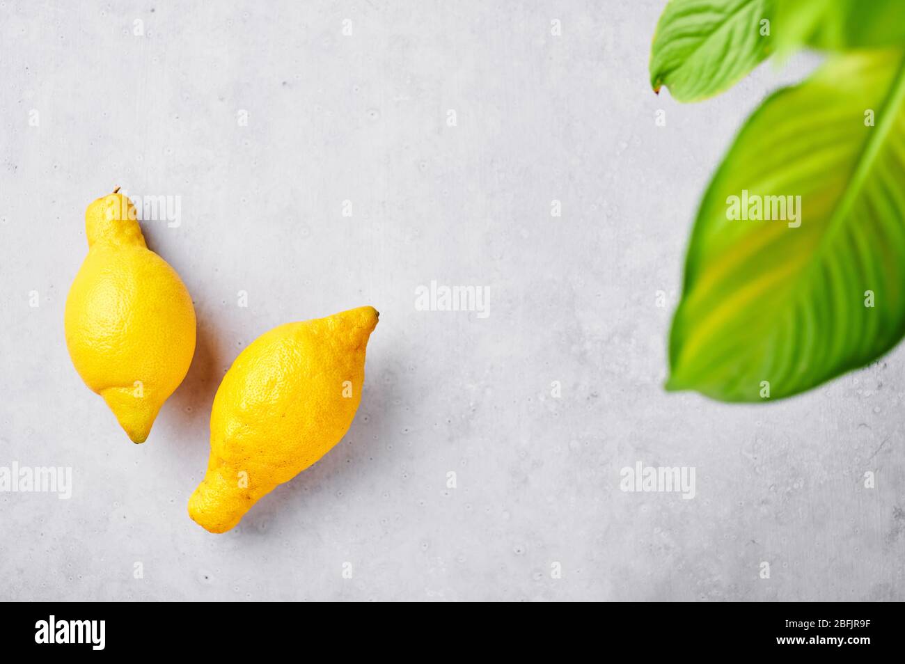 Two imperfect lemons at grey slate background. Ugly Fruits concept ...
