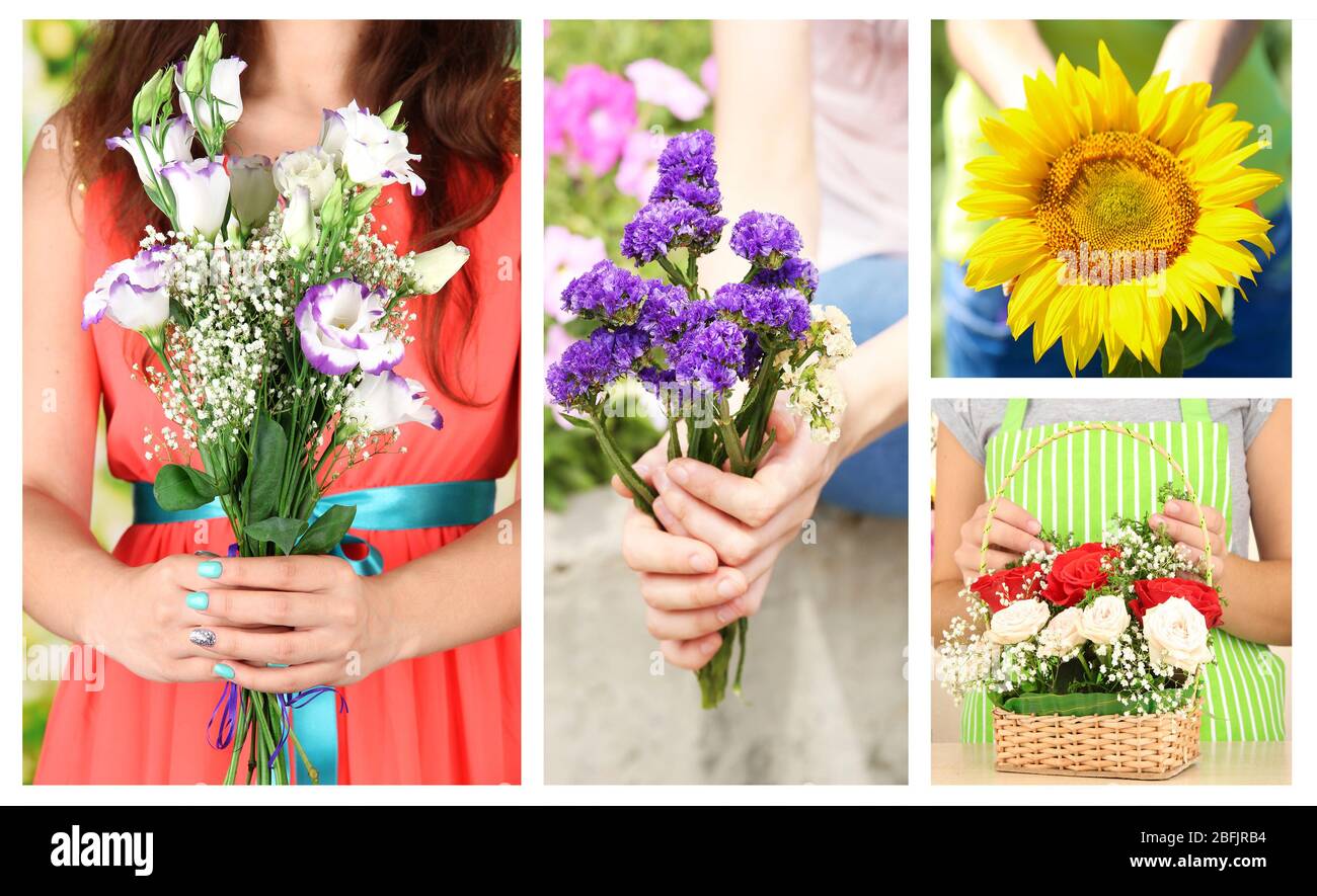 Beautiful flowers collage Stock Photo - Alamy