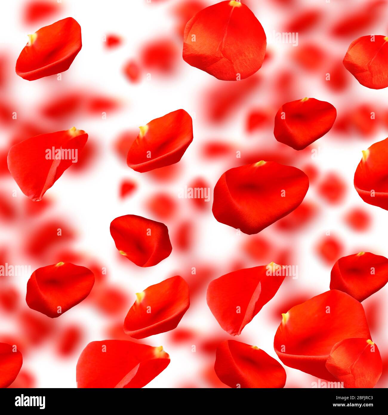Falling rose petals close-up Stock Photo - Alamy